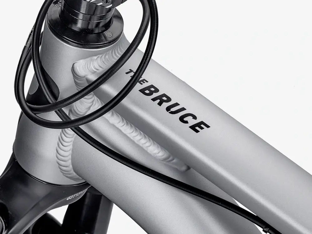 2023 Rose THE BRUCE 2 – Specs, Comparisons, Reviews – 99 Spokes