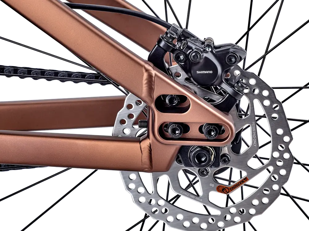 2024 Rose The Bruce 1 – Specs, Comparisons, Reviews – 99 Spokes