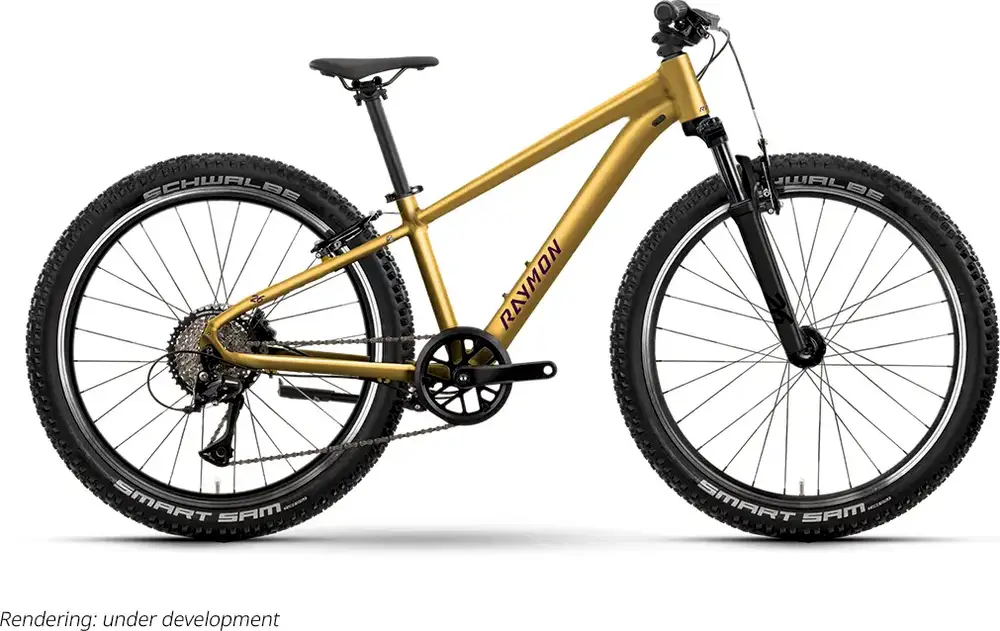 2026 R RAYMON Nayta 26 Comp – Specs, Comparisons, Reviews – 99 Spokes