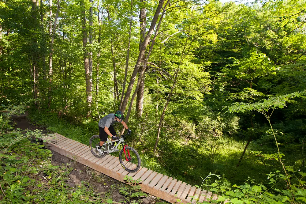 2022 RSD WILDCAT 125 (V3) Aluminum 29in SX Build – Specs, Comparisons, Reviews – 99 Spokes