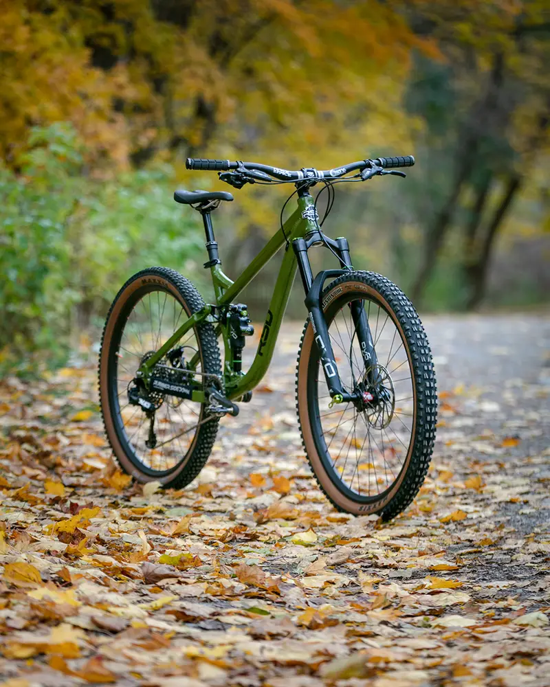 2022 RSD WILDCAT 125 (V3) Aluminum 29in SX Build – Specs, Comparisons, Reviews – 99 Spokes