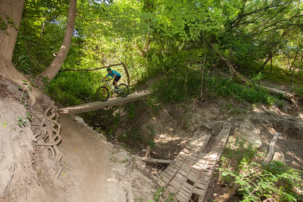 2022 RSD WILDCAT 125 (V3) Aluminum 29in SX Build – Specs, Comparisons, Reviews – 99 Spokes