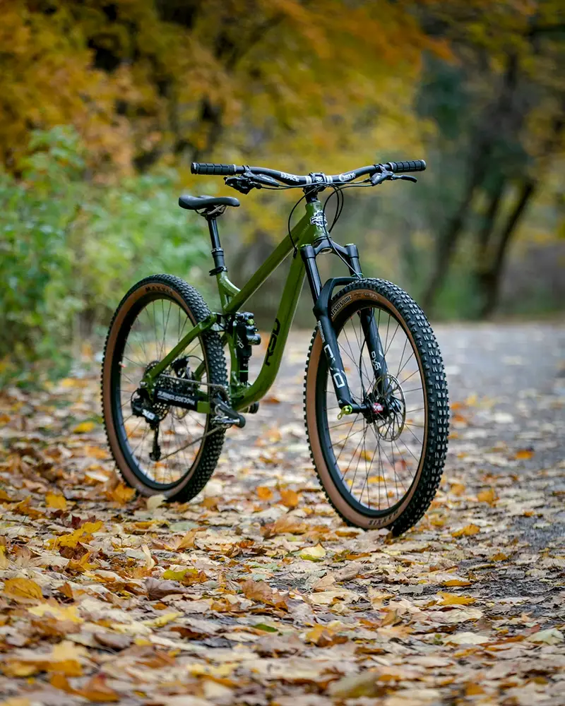 2023 RSD WILDCAT 125 (V3) Aluminum SX/D3 Build – Specs, Comparisons ...