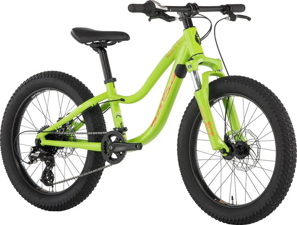 2019 Salsa Timberjack 20 SUS – Specs, Comparisons, Reviews – 99 Spokes