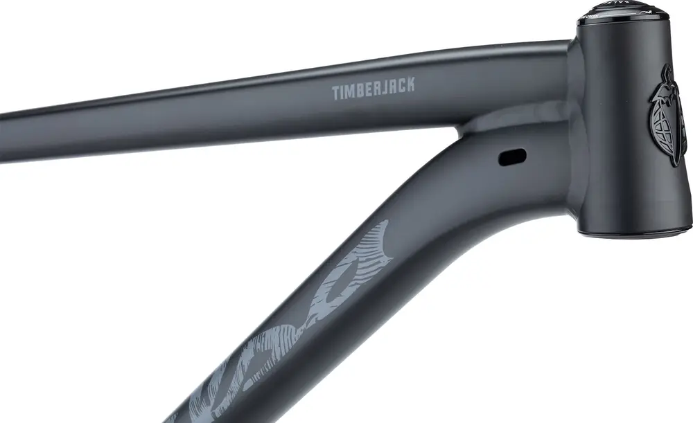 2019 Salsa Timberjack Frame – Specs, Comparisons, Reviews – 99 Spokes