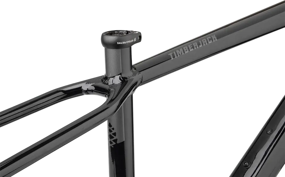 2021 Salsa Timberjack Frame – Specs, Comparisons, Reviews – 99 Spokes