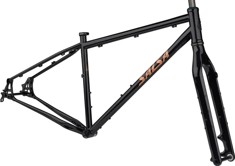 2024 Salsa Fargo Steel Frameset – Specs, Comparisons, Reviews – 99 Spokes