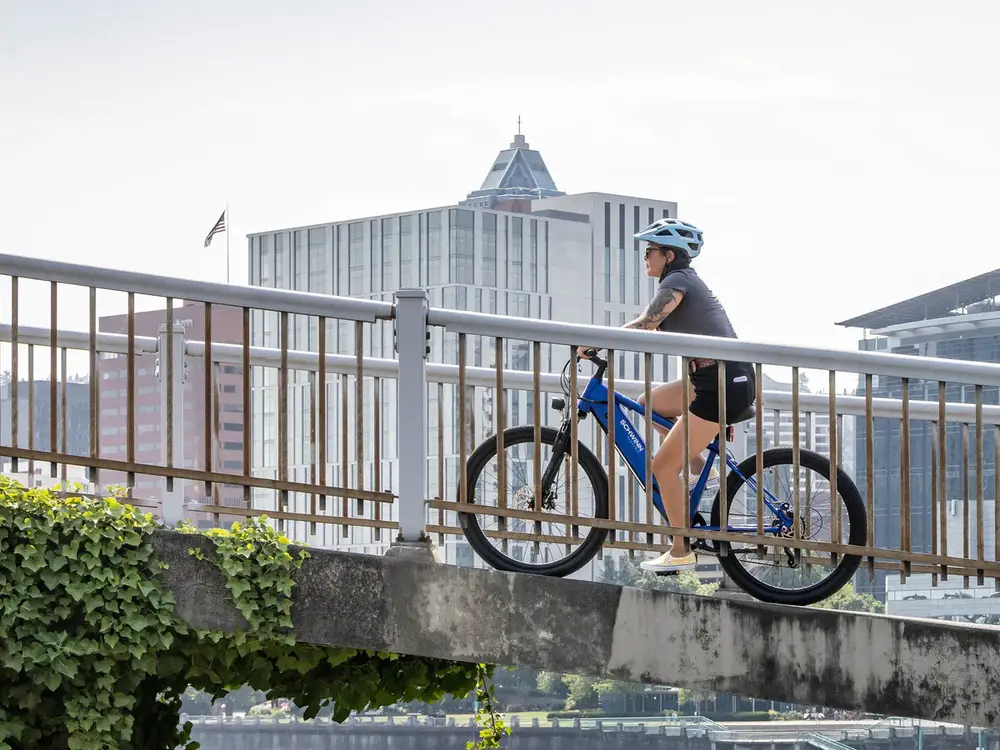 2022 Schwinn Marshall Electric Bike – Specs, Comparisons, Reviews – 99 Spokes