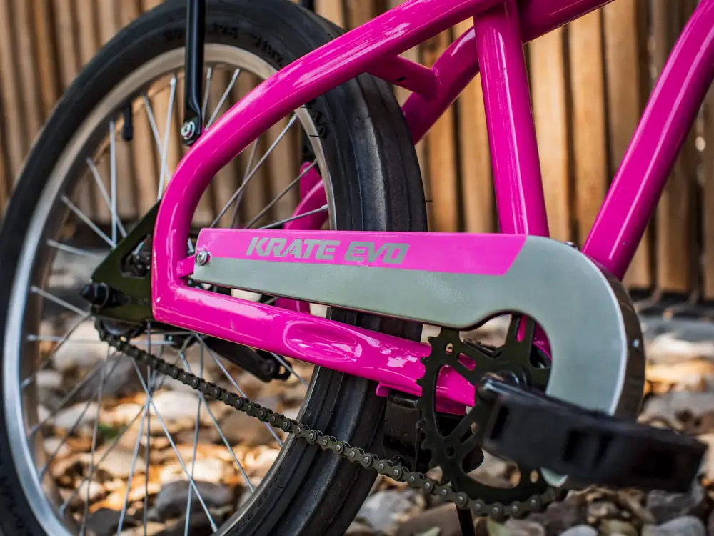 2023 Schwinn Krate EVO 20" – Specs, Comparisons, Reviews – 99 Spokes