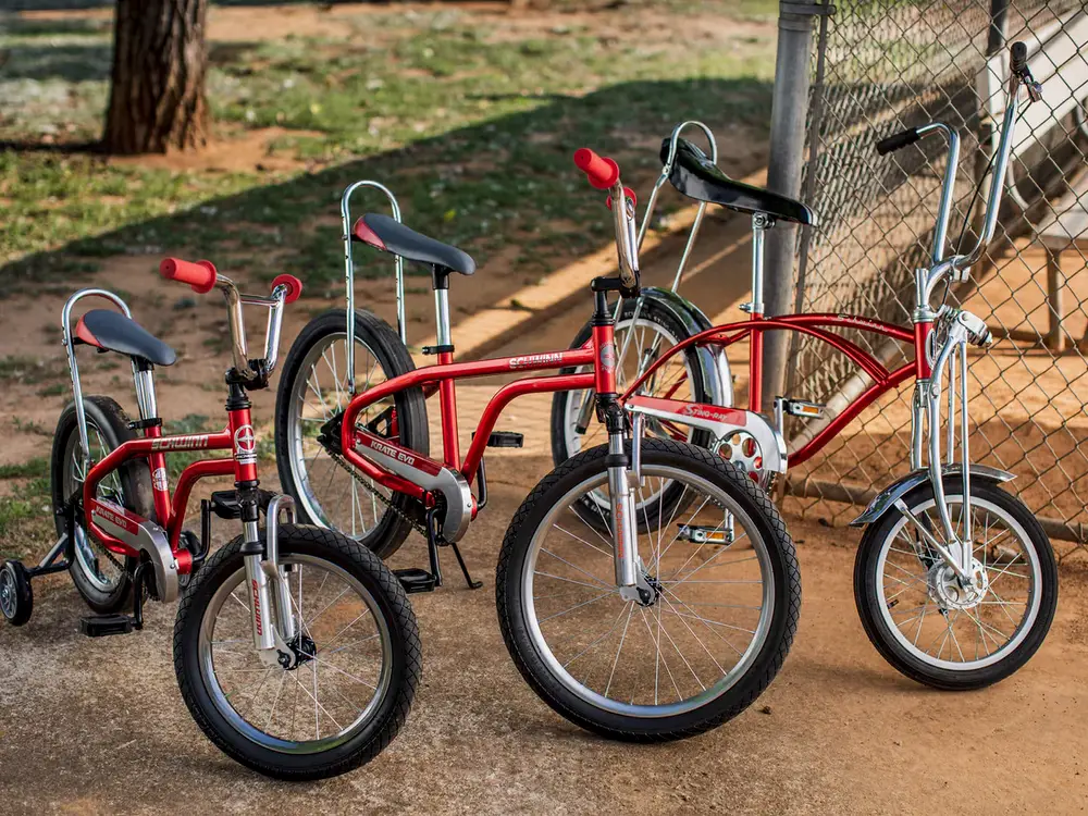2023 Schwinn Krate EVO 20" – Specifiche, confronti, recensioni – 99 Spokes
