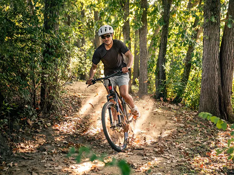 2025 Schwinn High Timber Electric Bike – Specs, Comparisons, Reviews ...