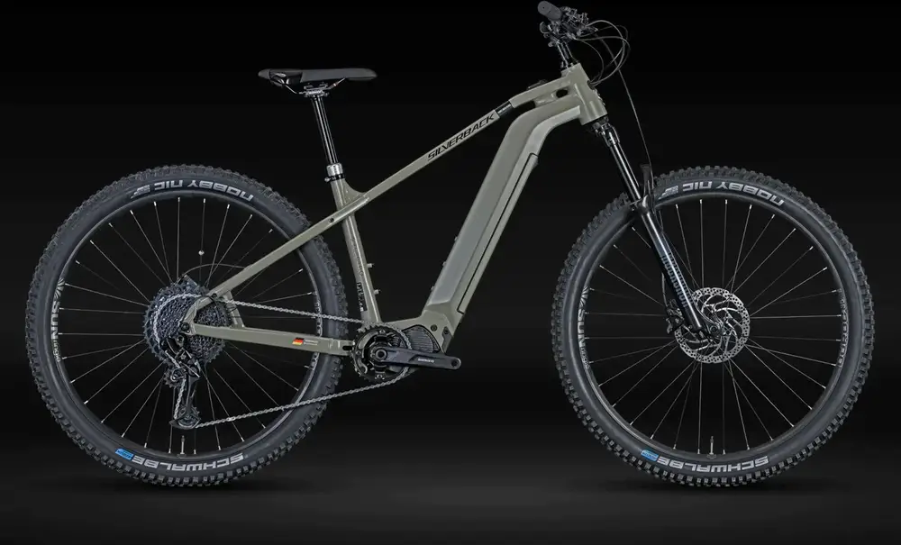 2023 Silverback S-Electro Diamond Trail – Specs, Comparisons, Reviews ...