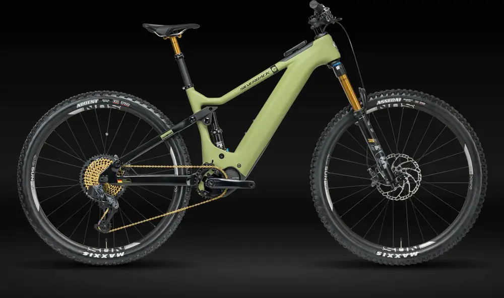 2023 Silverback S-Electro Pro CF 1 – Specs, Comparisons, Reviews – 99 ...