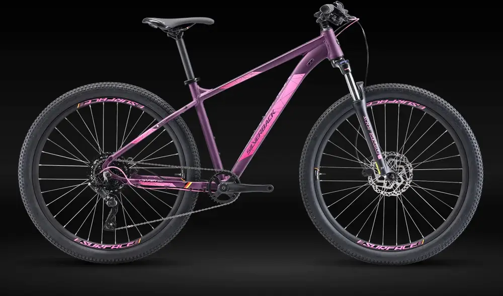 2023 Silverback Splash Sport – Specs, Comparisons, Reviews – 99 Spokes