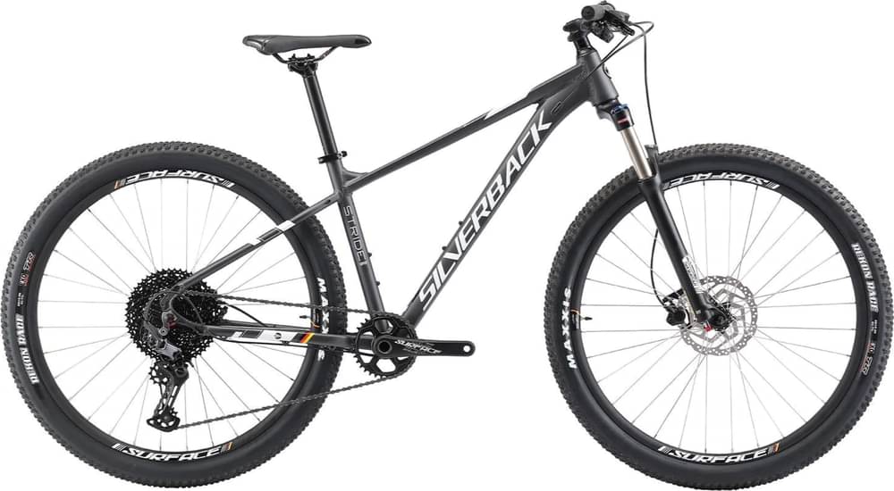 2023 Silverback Stride Expert – Specs, Comparisons, Reviews – 99 Spokes