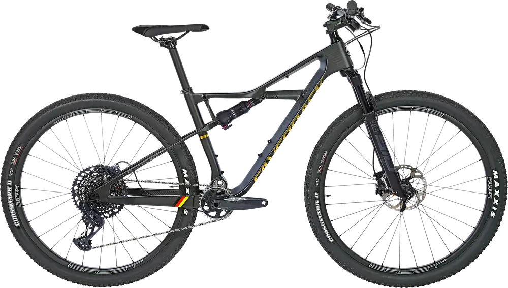 2024 Silverback CF GX – Specs, Comparisons, Reviews – 99 Spokes
