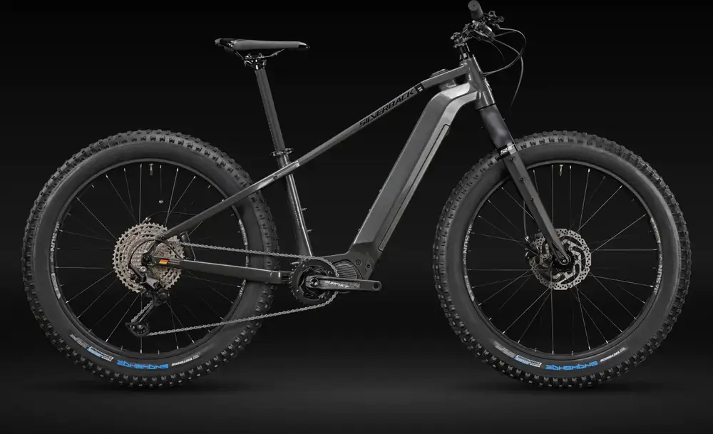 2024 Silverback S-Electro Diamond Fat Adventurer – Specs, Comparisons ...