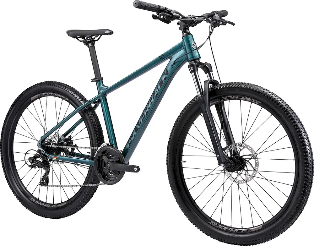 2024 Silverback Splash Delight (Gen 4) – Specs, Comparisons, Reviews ...