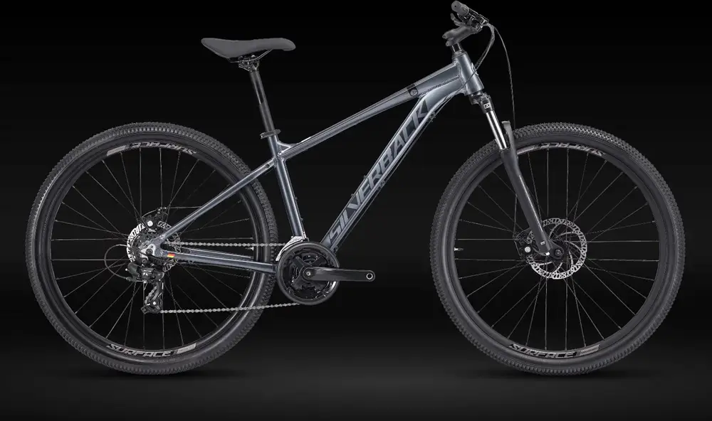 2024 Silverback Stride Delight (Gen 4) – Specs, Comparisons, Reviews ...