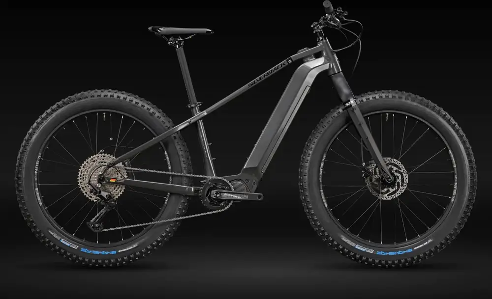 2025 Silverback S-Electro Diamond Fat Adventurer – Specs, Comparisons ...