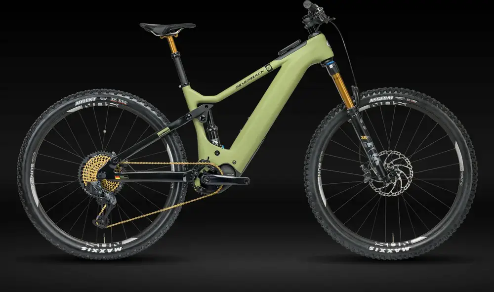 2025 Silverback S-ElectroTM Pro CF 1 – Specs, Comparisons, Reviews – 99 ...