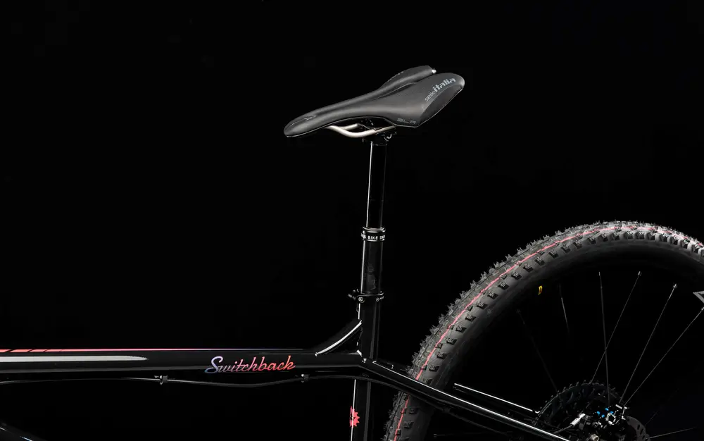 2024 Stanton Switchback Steel – Specs, Comparisons, Reviews – 99 Spokes