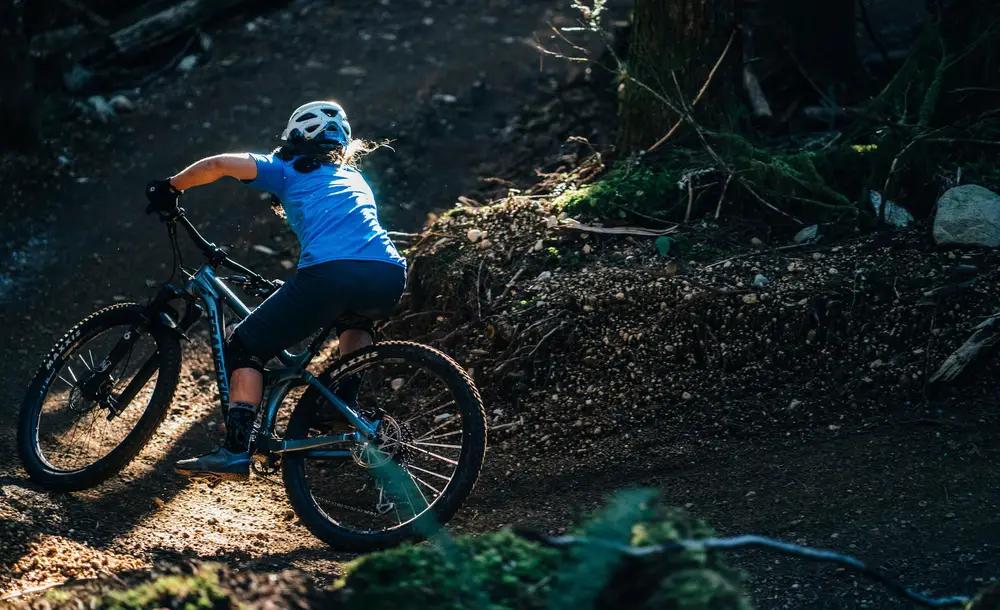 2019 Transition SCOUT ALLOY FRAMESET – Specs, Comparisons, Reviews – 99 ...