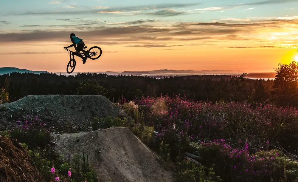 2020 Transition TR11 Frameset (Fox) – Specs, Comparisons, Reviews – 99 ...