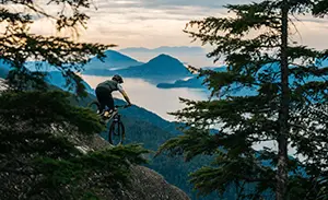 2021 Transition Scout Carbon Frameset – Specs, Comparisons, Reviews ...