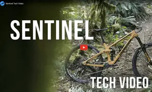 2021 Transition Sentinel Carbon Frameset – Specs, Comparisons, Reviews ...