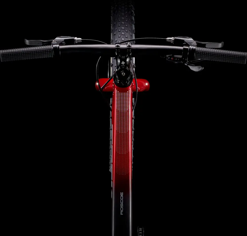 2023 Trek Roscoe 20 – Specs, Comparisons, Reviews – 99 Spokes