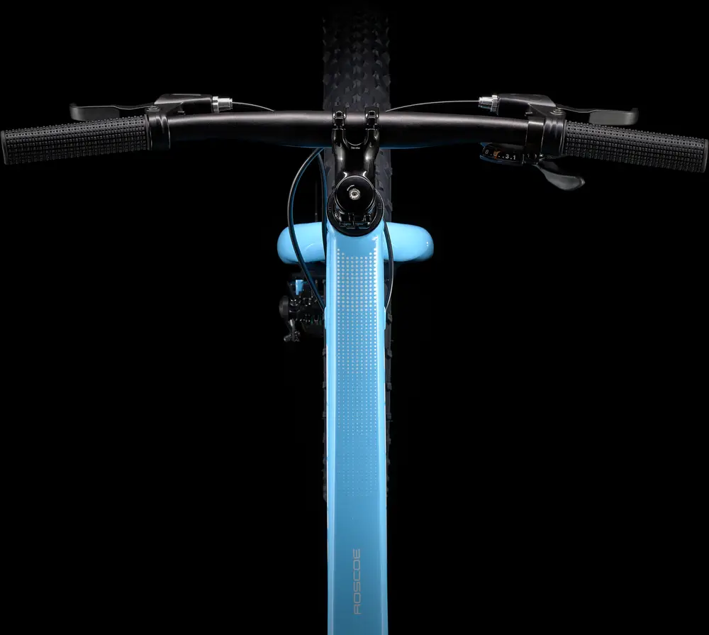 2023 Trek Roscoe 20 – Specs, Comparisons, Reviews – 99 Spokes