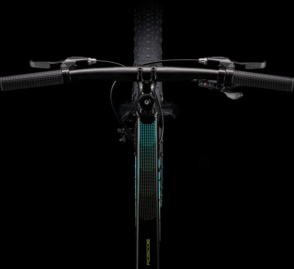 2023 Trek Roscoe 20 – Specs, Comparisons, Reviews – 99 Spokes