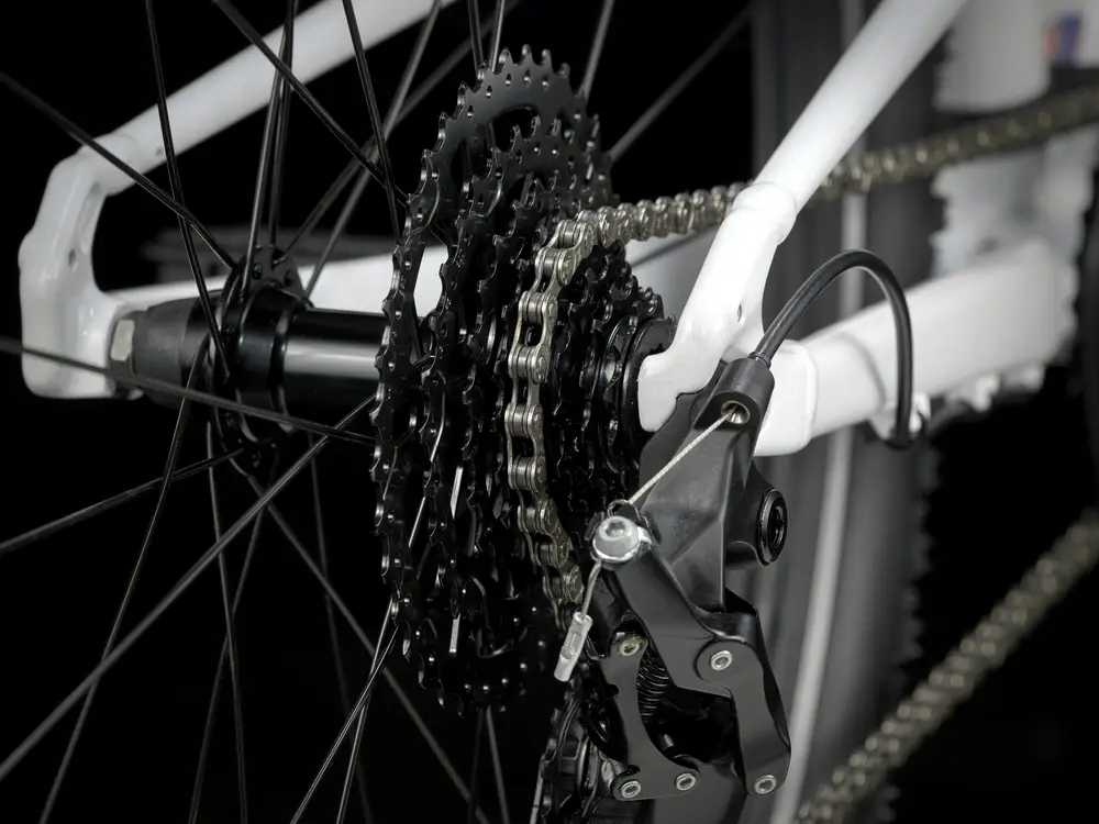 2024 Trek Wahoo 26 Path – Specs, Comparisons, Reviews – 99 Spokes