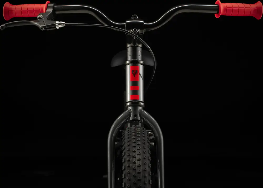 2026 Trek Precaliber 20 – Specs, Comparisons, Reviews – 99 Spokes