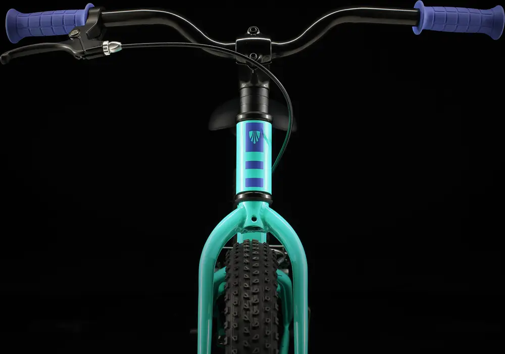 2026 Trek Precaliber 20 – Specs, Comparisons, Reviews – 99 Spokes