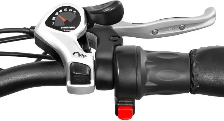 2022 TurboAnt Thunder T1 Fat Tire Electric Bike – Specs, Comparisons ...
