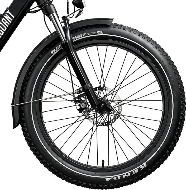 2022 TurboAnt Thunder T1 Fat Tire Electric Bike – Specs, Comparisons ...