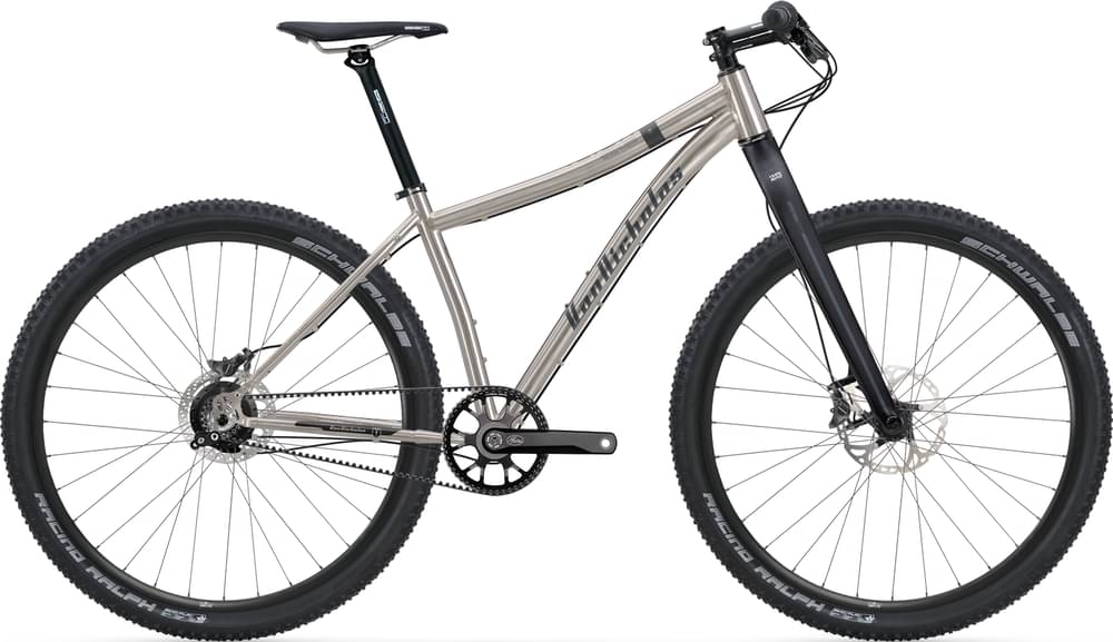 2022 Van Nicholas Zion 29 Er Rohloff Speedhub 14-spd belt – Specs ...