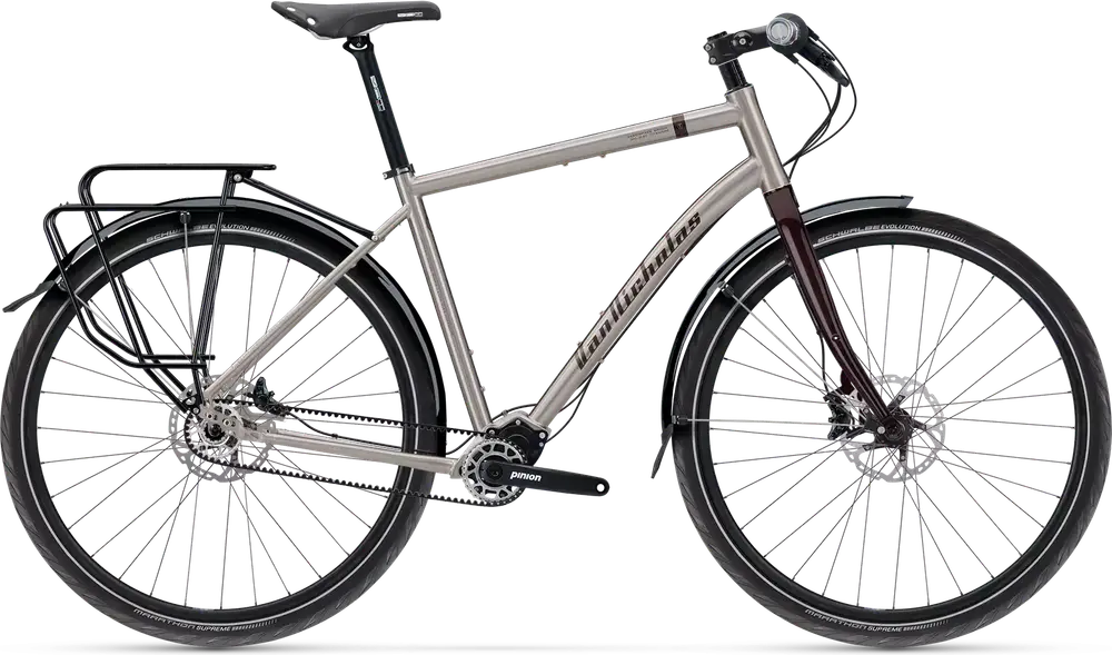 2025 Van Nicholas Deveron Pinion P1.18 18-spd belt disc brake – Specs ...
