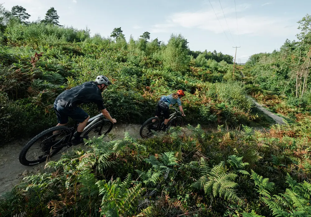 2024 Whyte 529 – Specs, Comparisons, Reviews – 99 Spokes