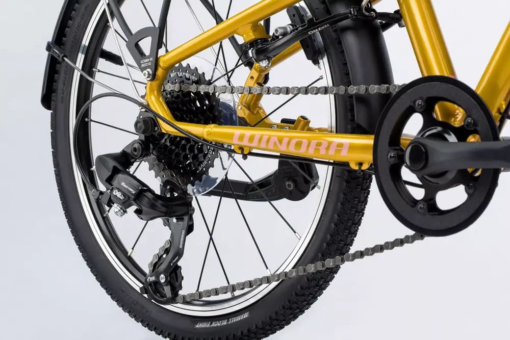 2024 Winora Chica 20 – Specs, Comparisons, Reviews – 99 Spokes