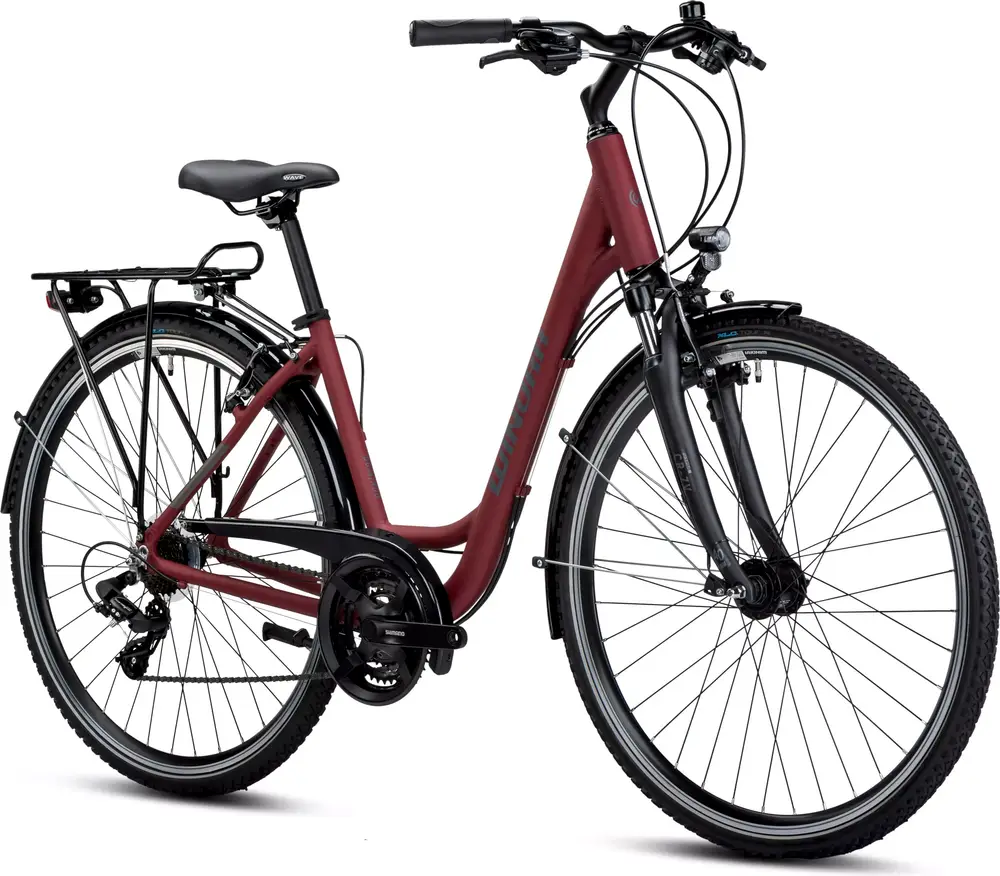 2024 Winora Domingo 21 – Specs, Comparisons, Reviews – 99 Spokes