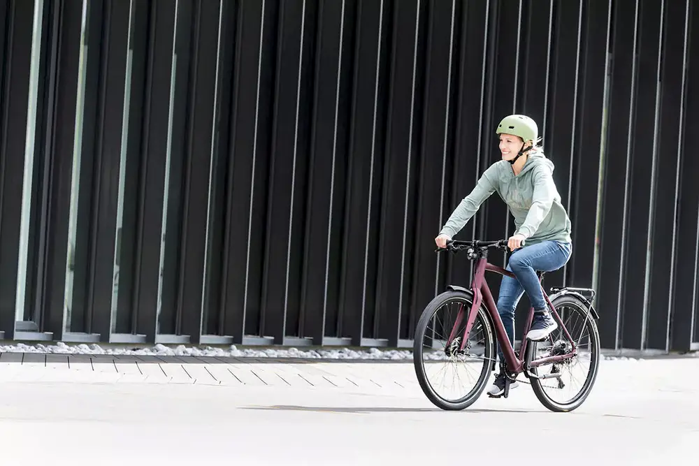 2024 Winora E-Flitzer – Specs, Comparisons, Reviews – 99 Spokes