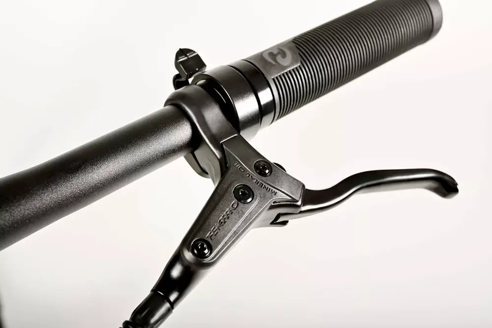 2024 Winora E-Flitzer – Specs, Comparisons, Reviews – 99 Spokes