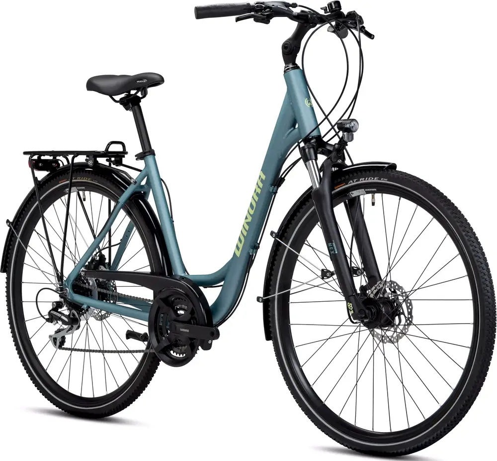 2025 Winora Domingo 24 – Specs, Comparisons, Reviews – 99 Spokes