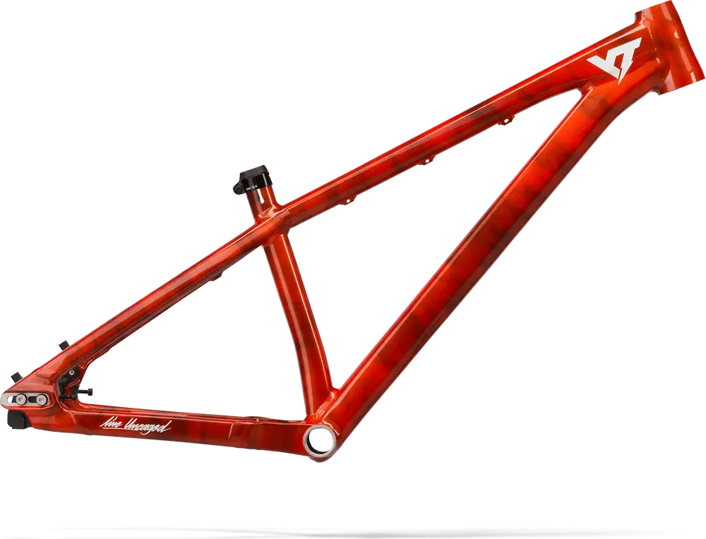 2025 YT Industries Framekit Dirtlove – Specs, Comparisons, Reviews – 99 ...